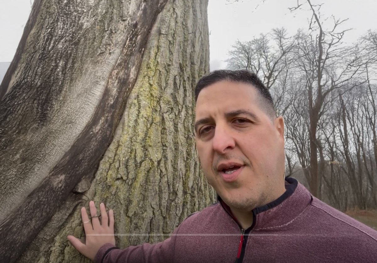 What are Multi Center Research Trials? [Video] - Dr. Matthew DiPaola